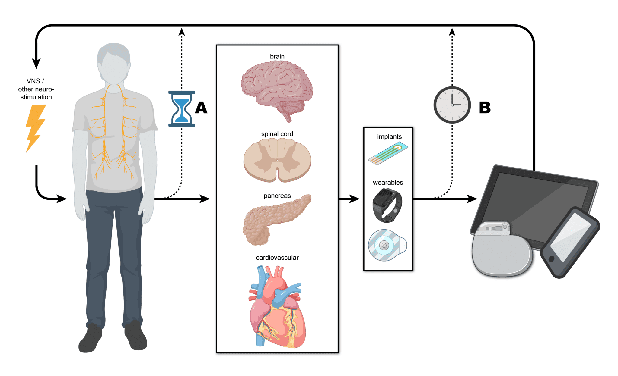 Ganzer Neurotechnology Laboratory - The Miami Project